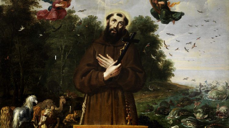 7 Fascinating Facts About Saint Francis - MFVA - Franciscan ...